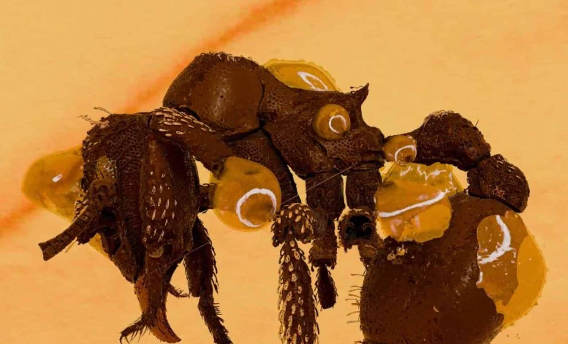 Tiny 16-Million-Year-Old Ant Fossil Reshapes Understanding of Evolution ...