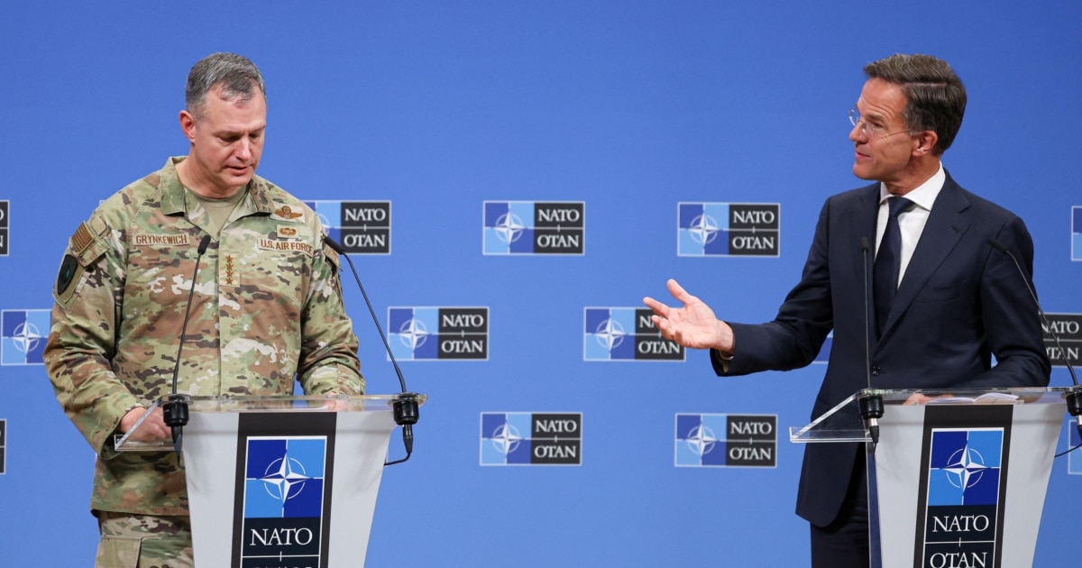 NATO Enhances Eastern Flank Defenses After Russian Drone Incursion into ...