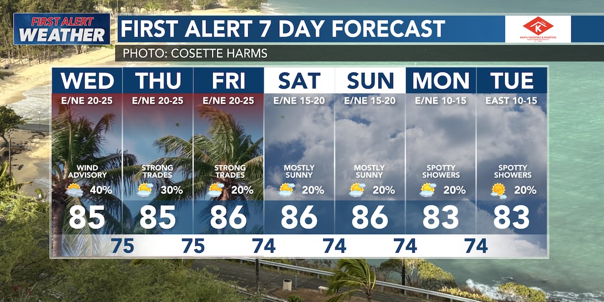 Wind and High Surf Advisories Issued for Hawaii as Strong Trade Winds ...