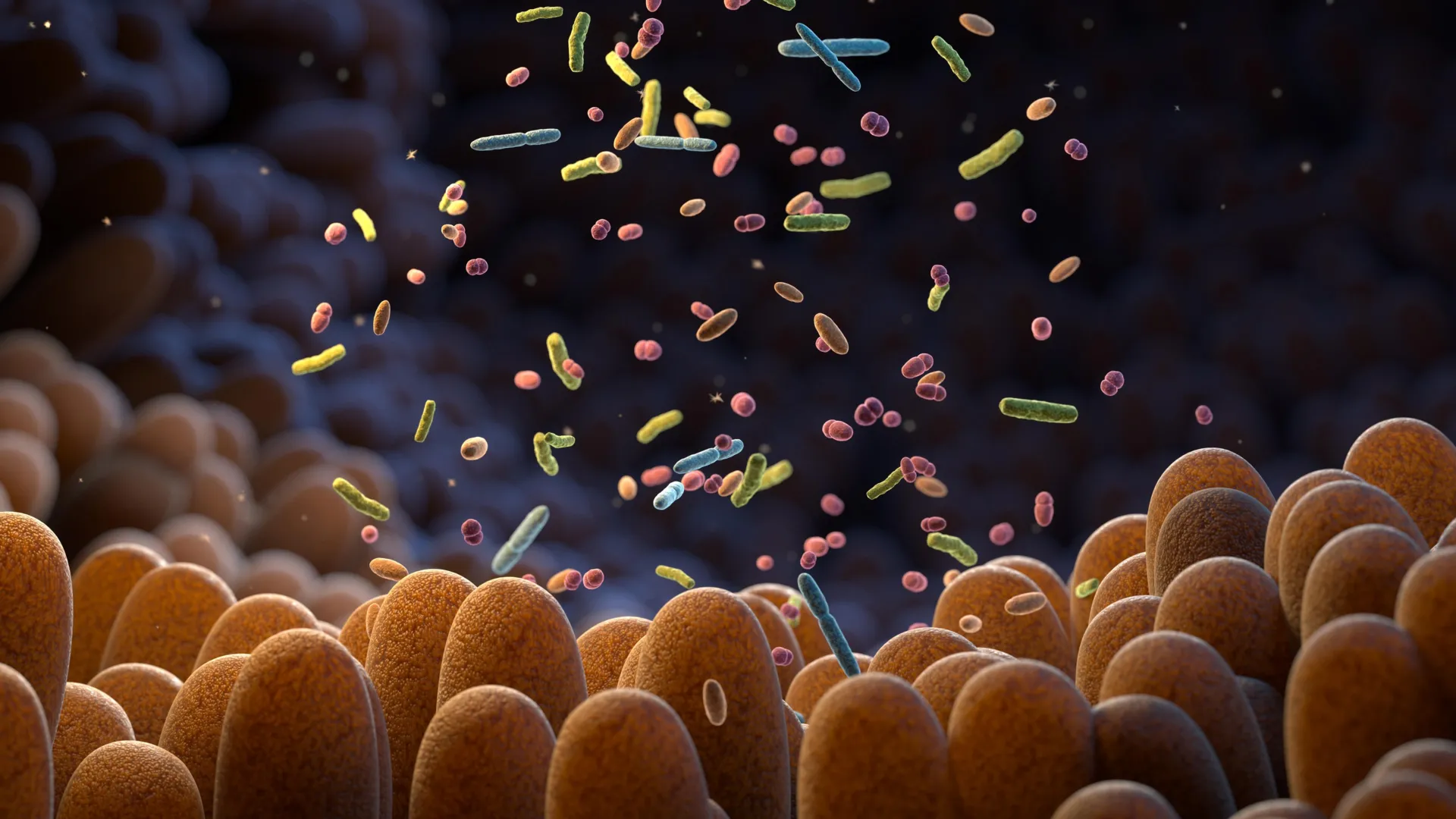 Researchers Develop Method to Harness Gut Bacteria for Longevity ...