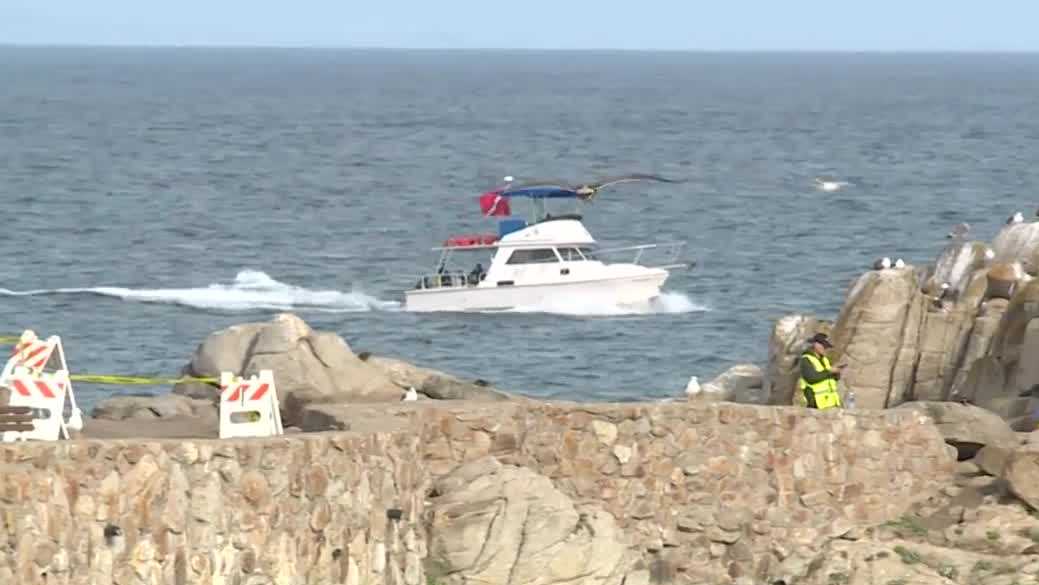 Search for Missing Swimmer Erica Fox Suspended After Witness Reports ...