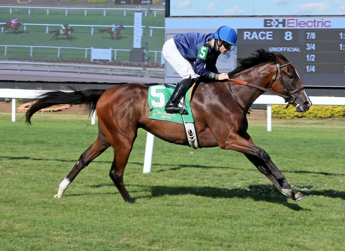 Sherbini, Tigerish Among Latest Keeneland January Supplements ...
