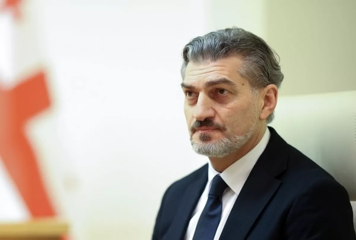Georgian President Outlines Foreign Policy and Domestic Priorities Amid ...