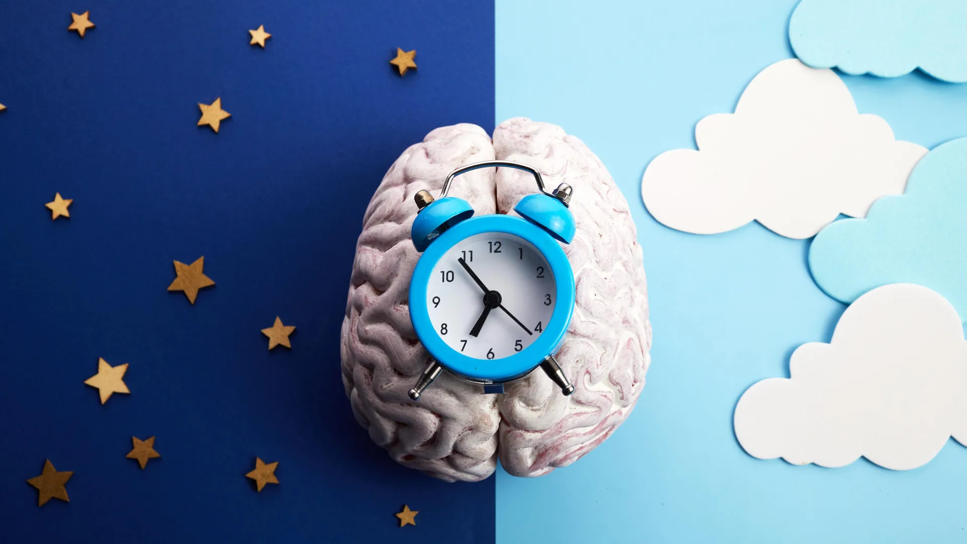 Japanese Scientists Discover Compound That Could Help Alleviate Jet Lag ...