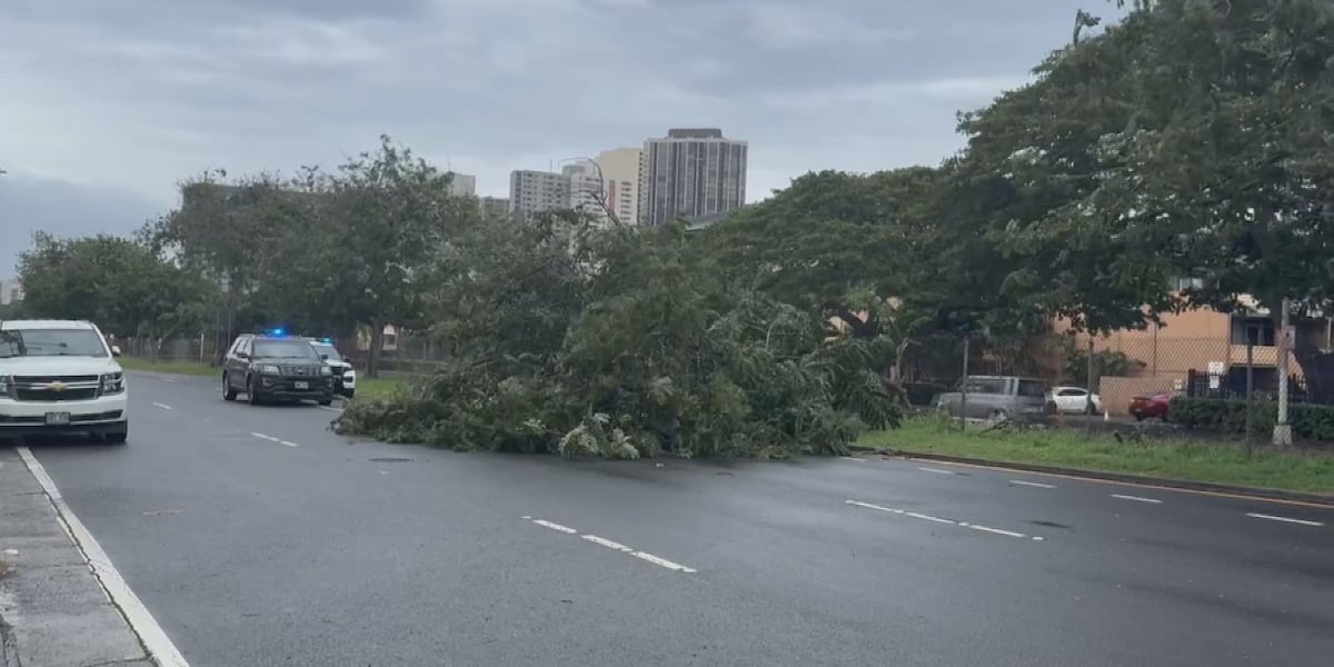 Severe Weather Causes Downed Trees and Power Outages Across Hawaii ...