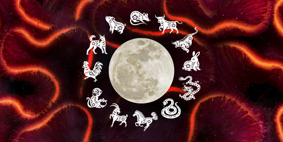 Understanding Chinese Zodiac Signs and Their Birth Years - SSBCrack News