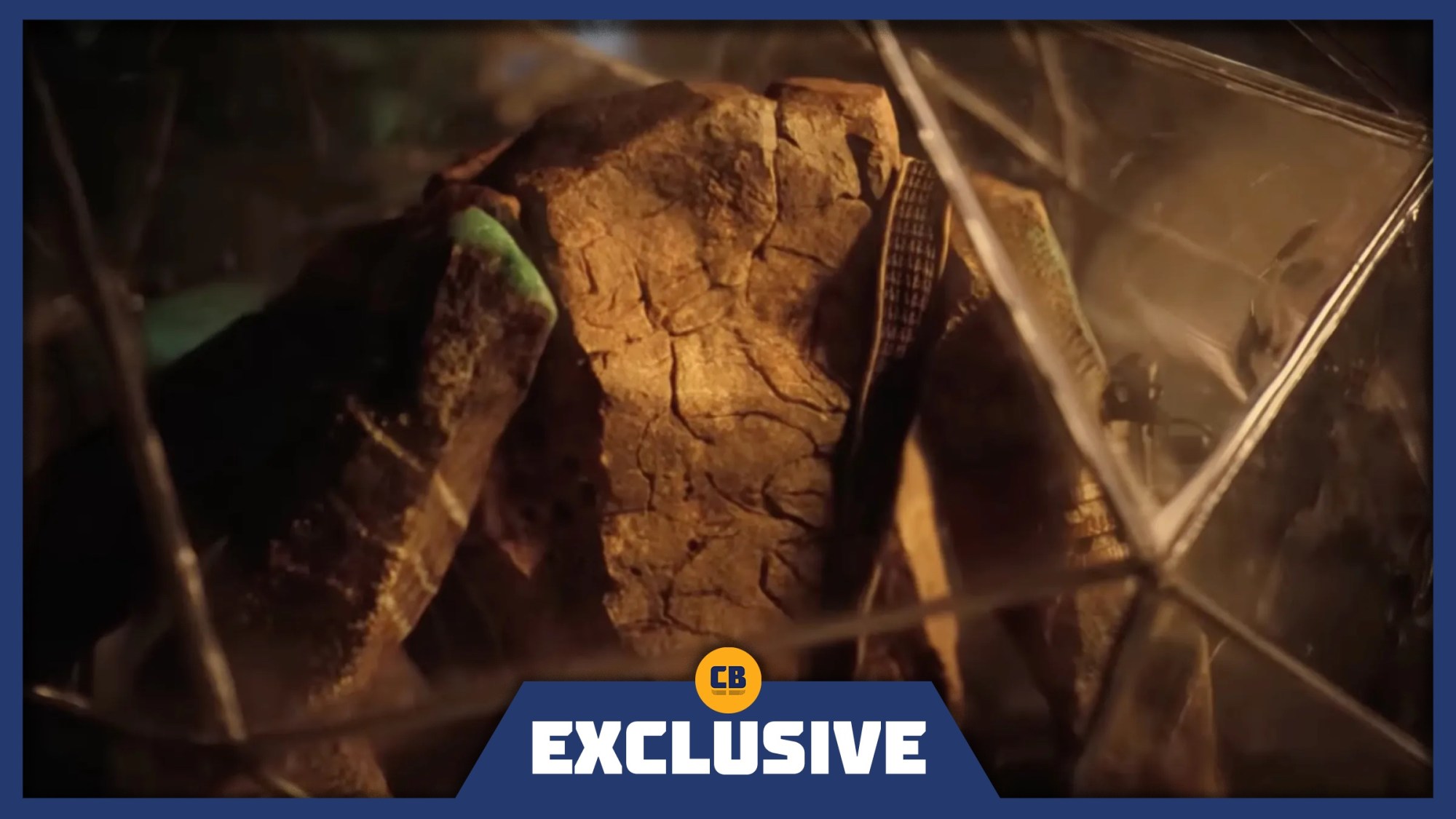 Directors Emphasize Practical Effects for Immersive Experience in ...