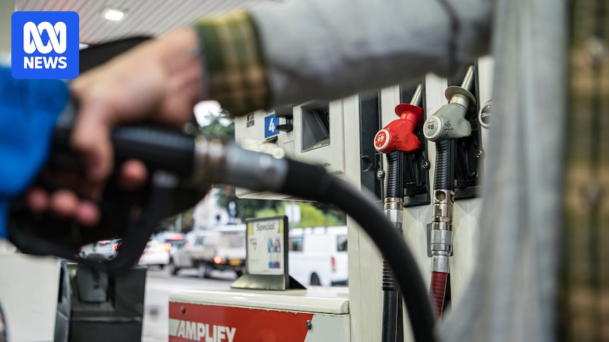 Government Eases Fuel Standards Amid Rising Oil Prices - SSBCrack News