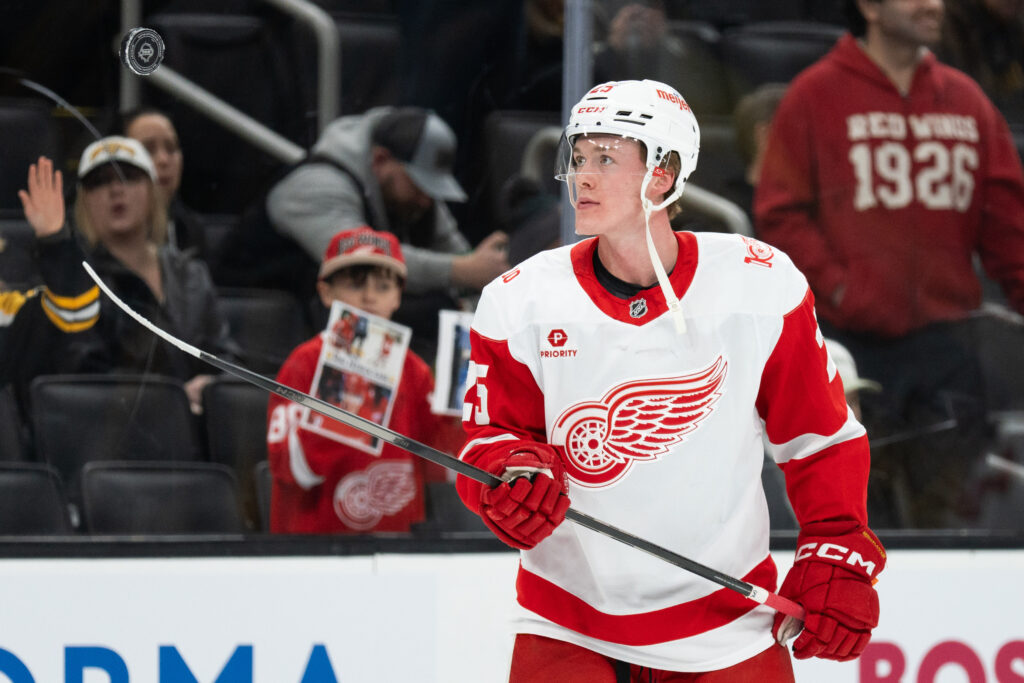 Red Wings Sign Jacob Bernard-Docker to Two-Year Contract Extension ...