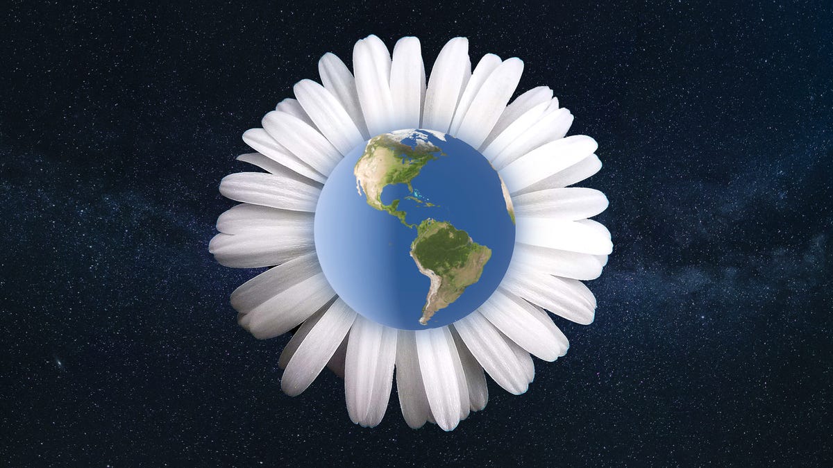 Spring Equinox Arrives on March 20, Marking Longer Days and Milder ...