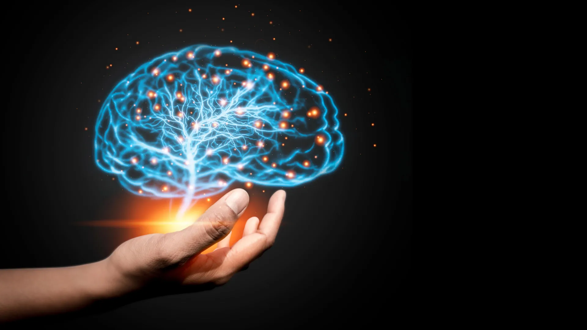 Tissue Stiffness Influences Chemical Signalling in Brain Development ...