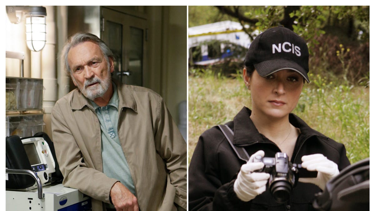 'NCIS' episode after Director Leon Vance shock is 'Fleeting' - SSBCrack ...